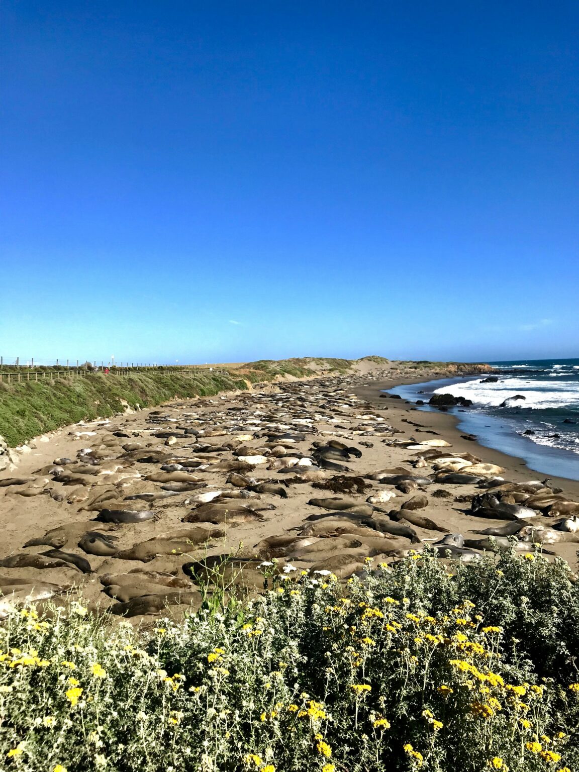 Spring Break In California: The Ultimate Guide To Fun In The Sun ...