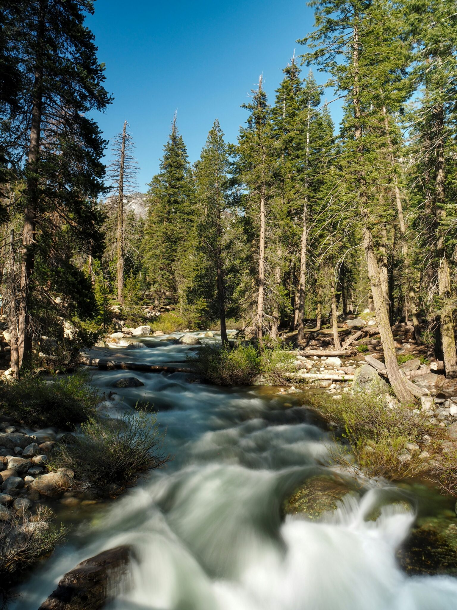 Sierra National Forest: A Guide To Hiking And Camping In California's ...