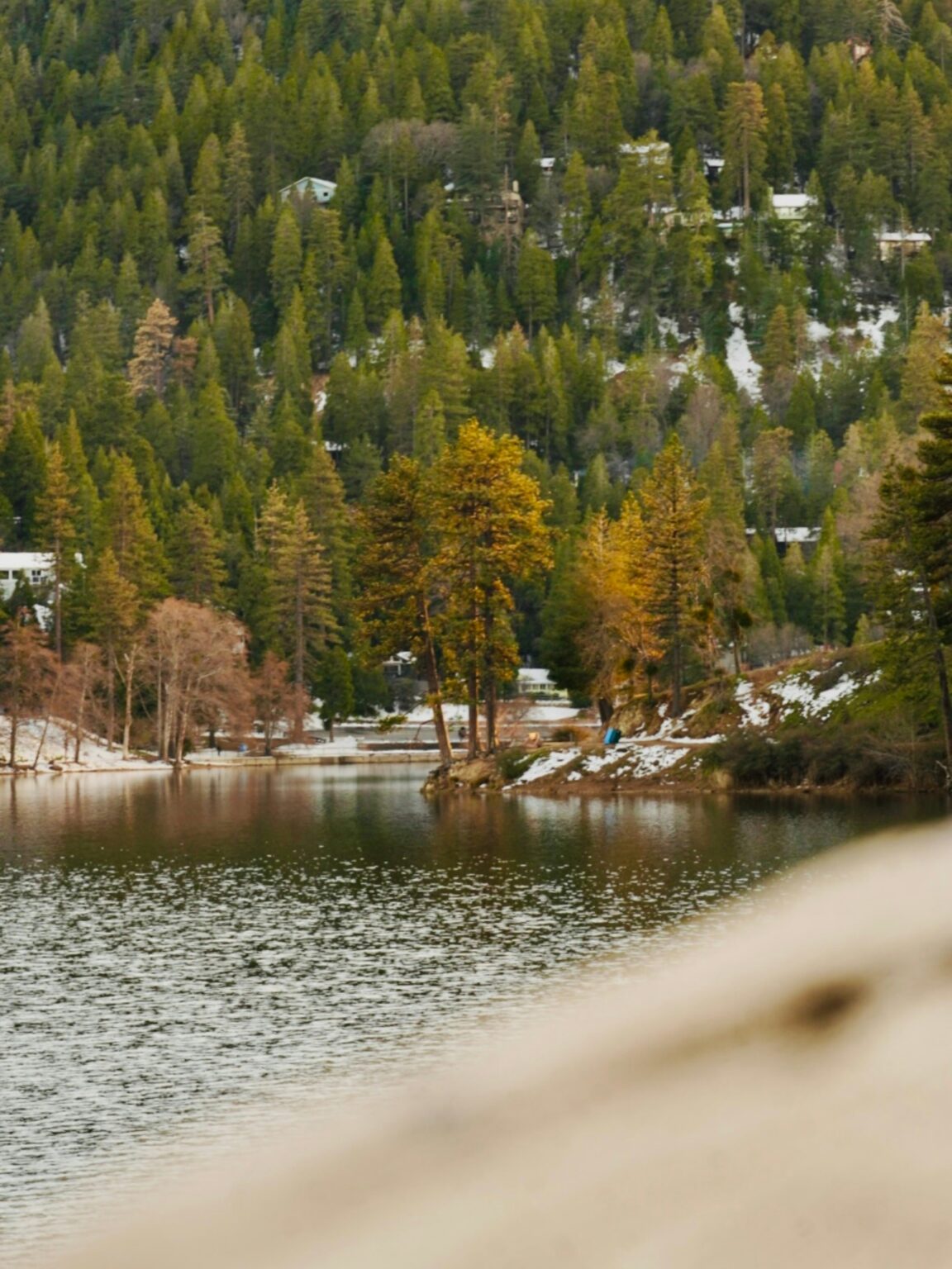 Things To Do In Lake Arrowhead: Your Guide To Mountain Fun - California ...