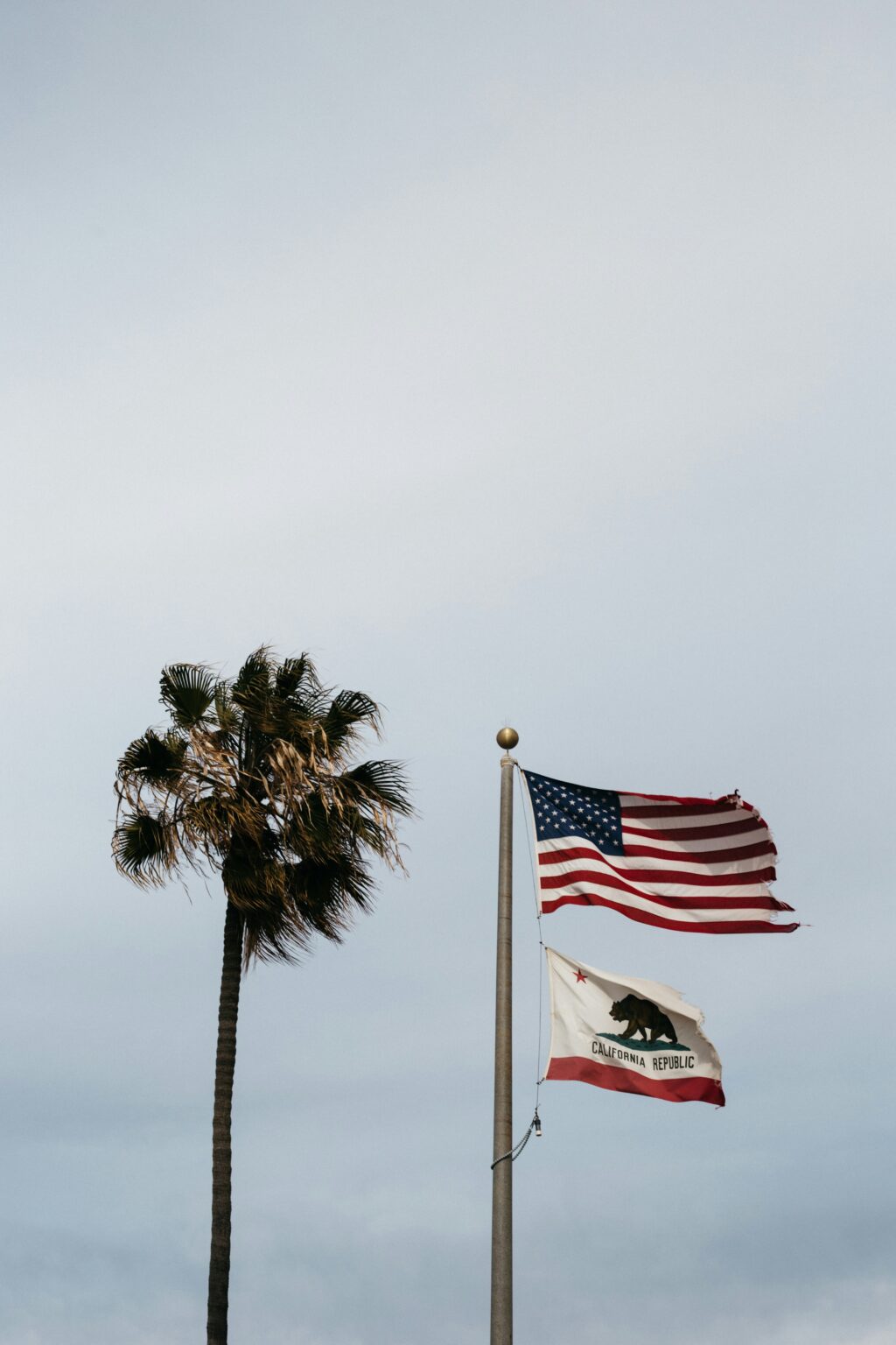 Facts About The California Flag: Origins And Symbolism Of The Bear ...