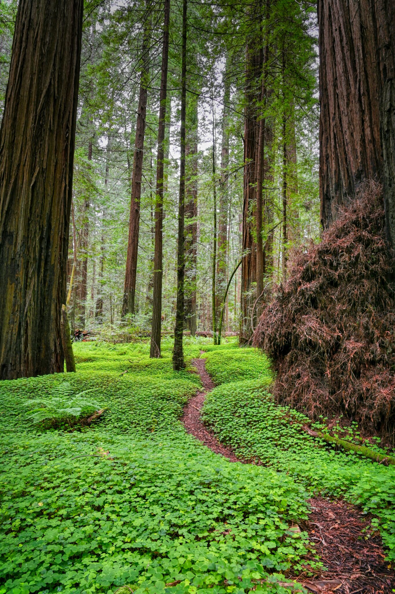 10-Day Southern California Road Trip Itinerary: Must-See Stops And Tips ...