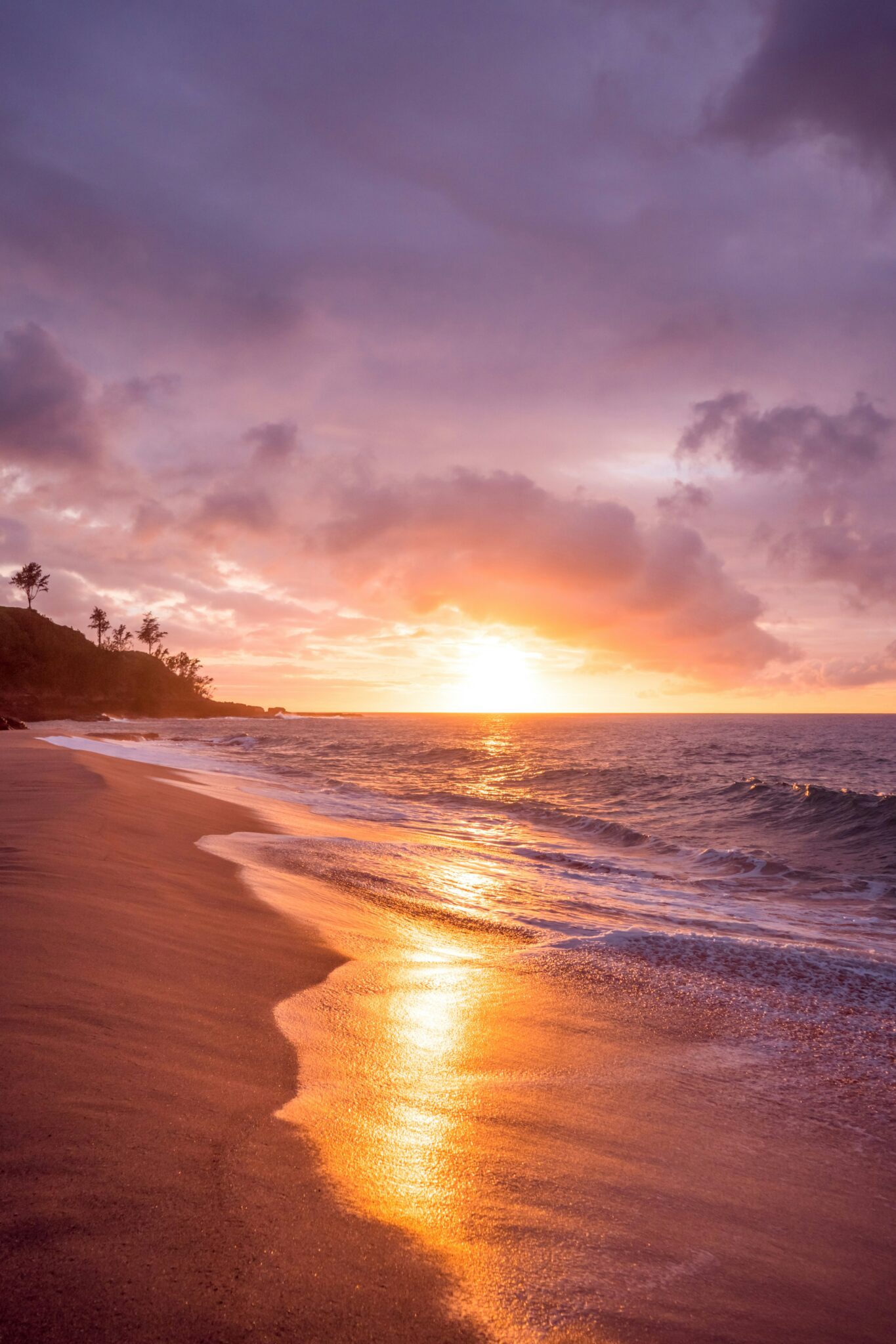 Searching For Seashells: California’s Best Beaches For Beachcombing ...