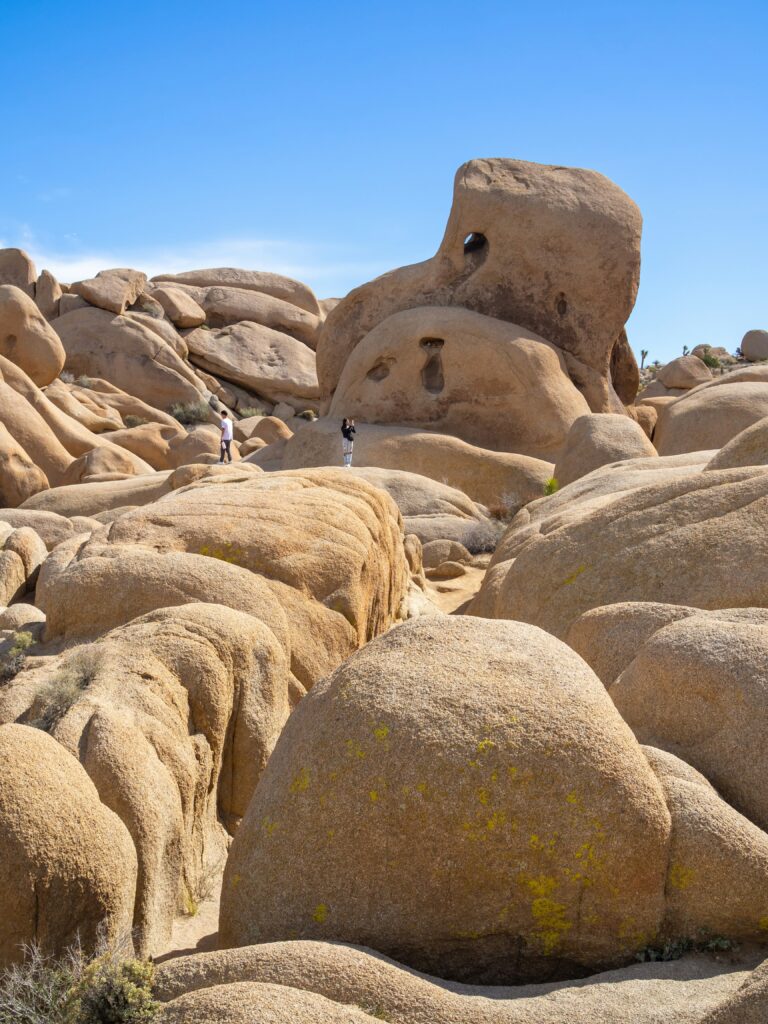 Unique Geological Features Of Joshua Tree National Park: Exploring Rock ...