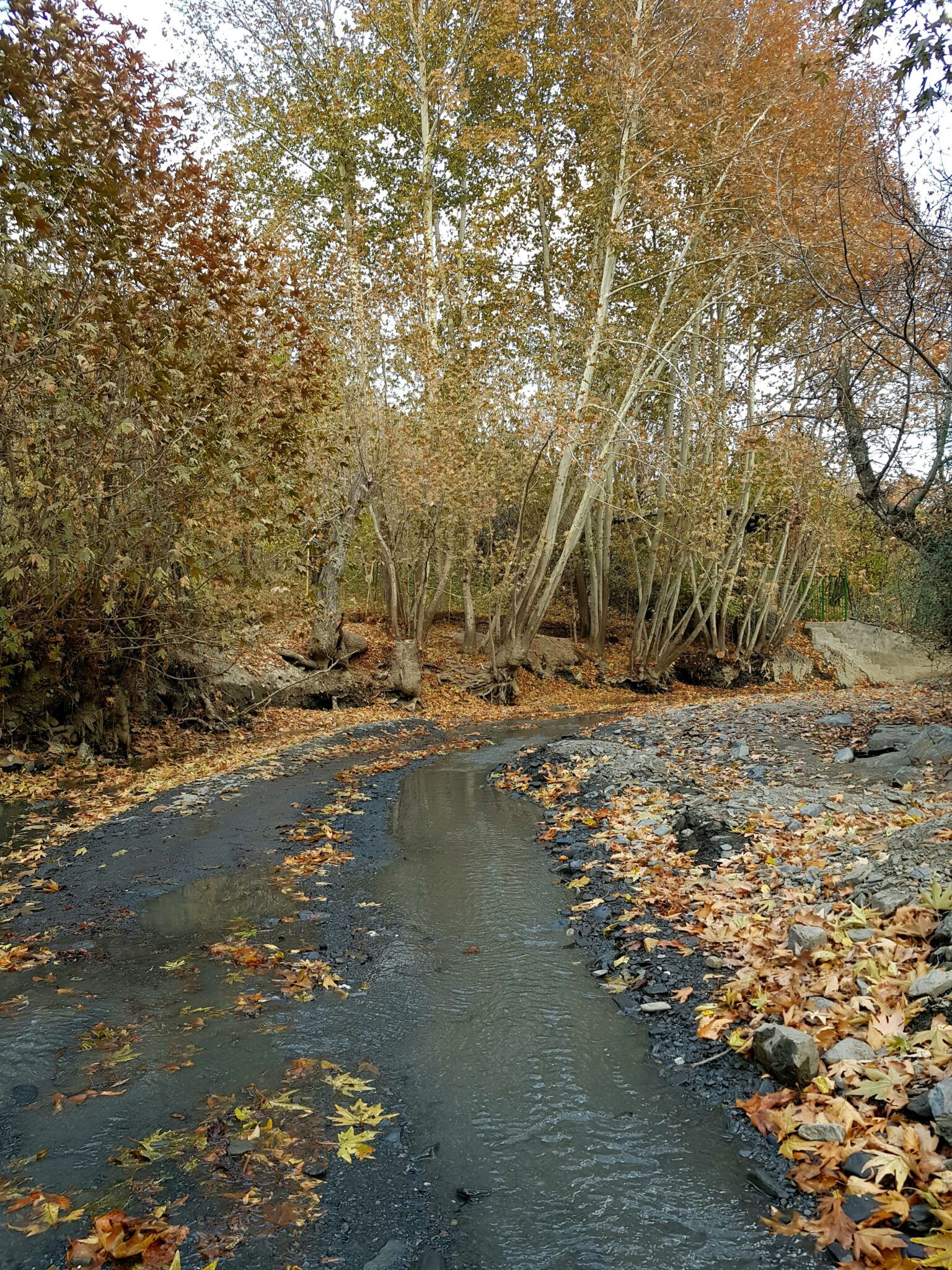 Inyo National Forest Camping Guide: Best Hikes, Lakes & Dispersed ...