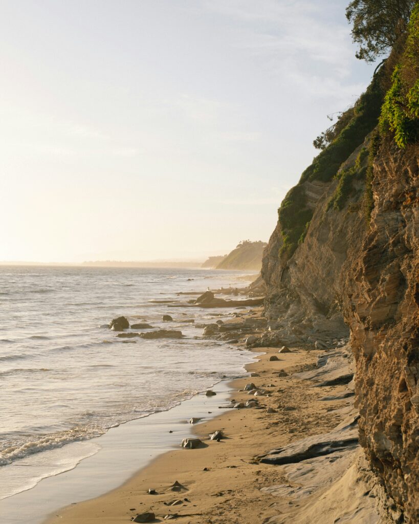 Estero Americano Coast Preserve: 2026 Opening, Guide & Best Trails ...